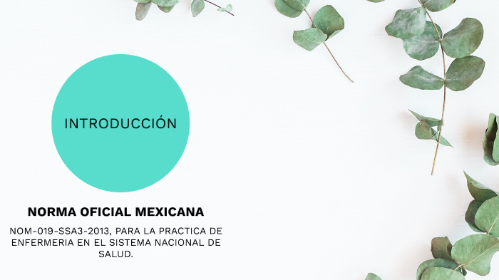 NORMA OFICIAL MEXICANA 019 by LEYLANI ALONSO JAIME on Prezi