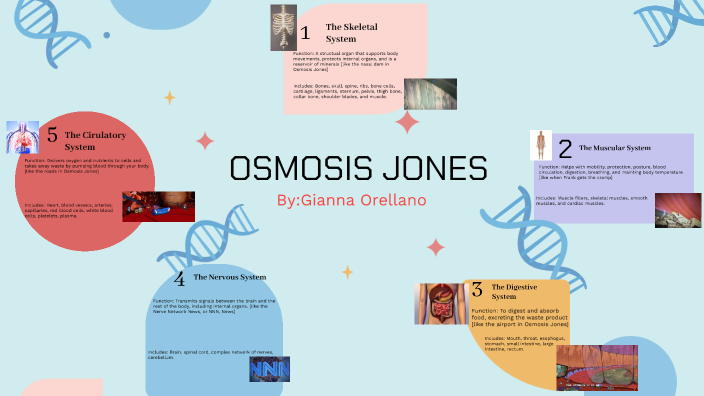 Gianna Orellano's Osmosis Jones Project by Vick on Prezi
