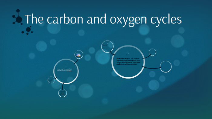 The carbon and oxygen cycles by Lana Johnson on Prezi