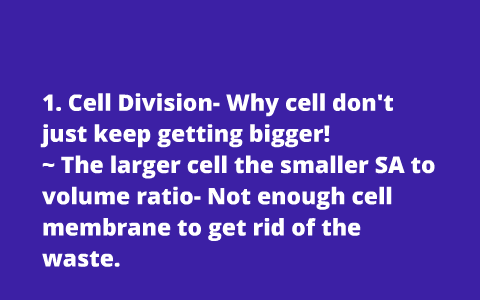 biology by lisa doty on Prezi