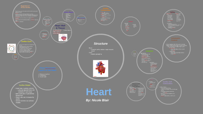 Heart Mind Map by Nicole Blair on Prezi