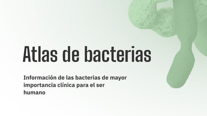 Atlas de bacterias by Diego Pascual on Prezi