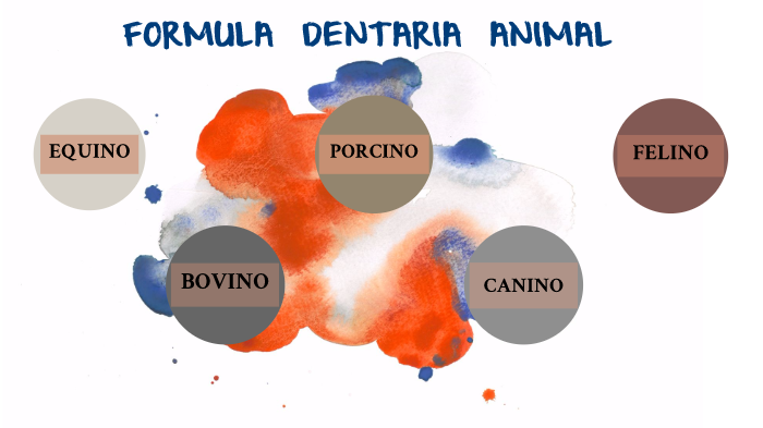 FORMULA DENTARIA ANIMAL by MIGUEL ALEXANDER QUEZADA CABRERA on Prezi