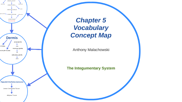 Chapter 5 Vocabulary Concept Map by Anthony Malachowski on Prezi