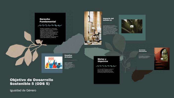 Objetivo de Desarrollo Sostenible 5 (ODS 5) by MARCOS CAVANILLAS on Prezi