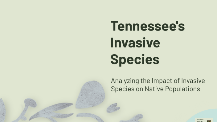 Tennessee's Invasive Species by Kelly Johnston on Prezi