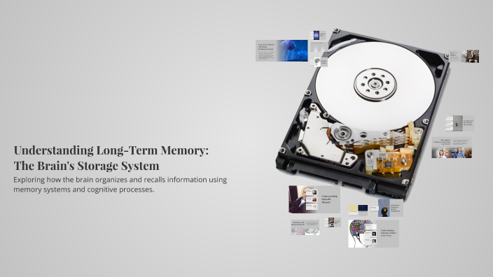 2.3Understanding Long-Term Memory: The Brain's Storage System by Seha ...