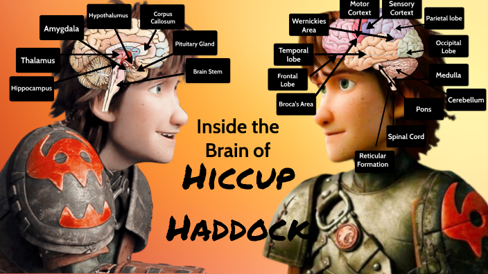 Inside the Brain of Hiccup Haddock by Katelyn Doehrmann on Prezi
