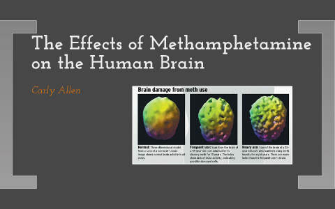 The Effects of Methamphetamine on the Human Brain by Carly Allen on Prezi