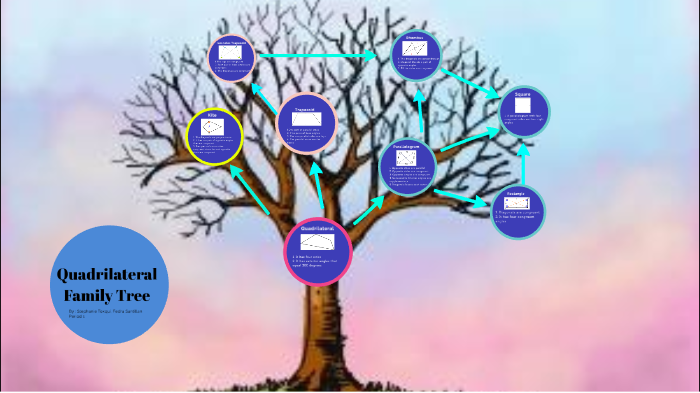 Quadrilateral Family Tree by Stephanie Toxqui