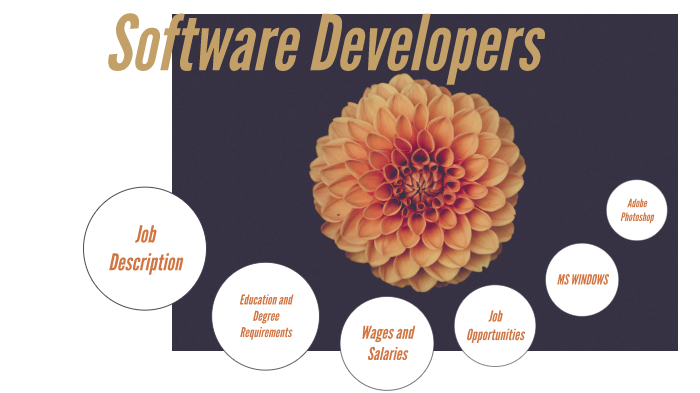 software developer by aidan bannon on Prezi
