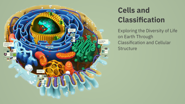 Cells and Classification by on Prezi