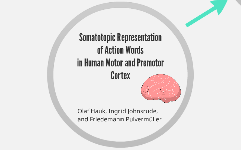 Somatotopic Representation of Action Words by on Prezi