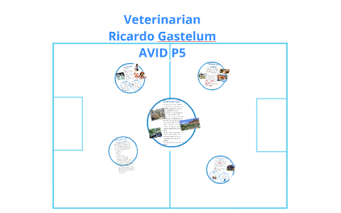 Veterinary By On Prezi