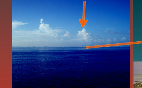 Emesh Fernando Ocean Food Web by Teresa Hardeman