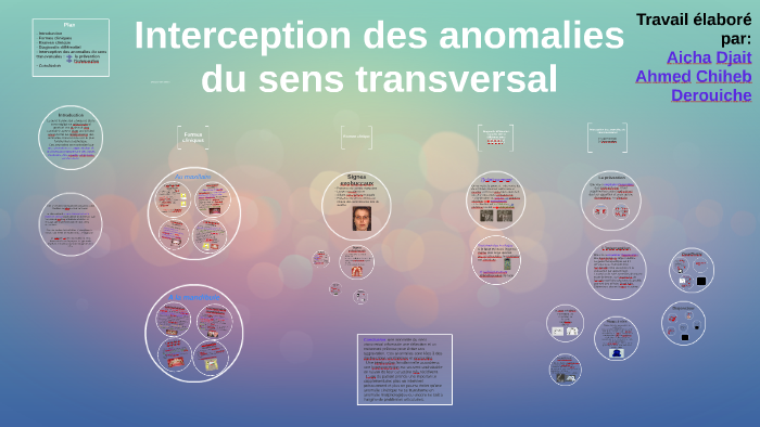 Sens transversal by Ahmed Derouiche on Prezi