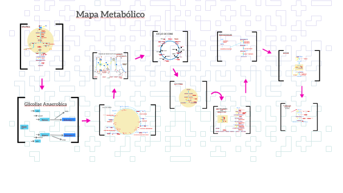 Mapa Metabólico by Bruna Andriani Cazela on Prezi