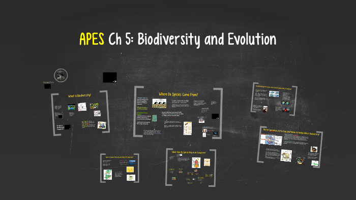 APES Ch 5: Evolution of Biodiversity by Valerie Head on Prezi