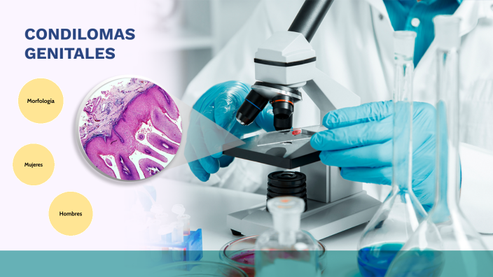 condilomas genitales by Marii Clau Bravo on Prezi