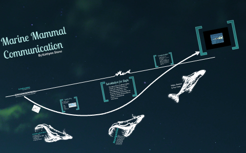 Marine Mammal Communication by Kaitlynn Stone on Prezi