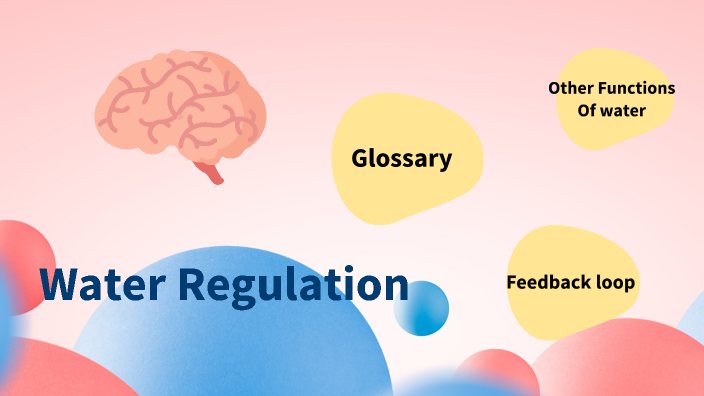 animated model of water regulation SAC by Sarah Morse-McNabb on Prezi