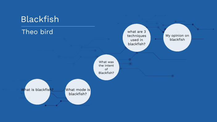 blackfish by Theo Bird on Prezi