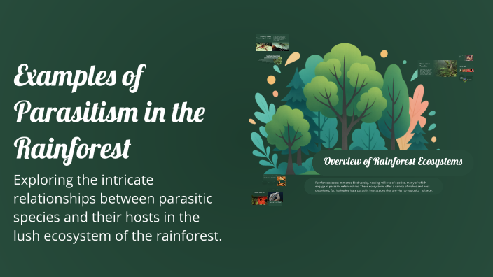 Examples of Parasitism in the Rainforest by Brianna Kelly on Prezi