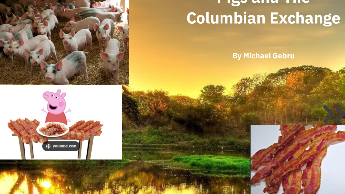 Pigs and The Columbian Exchange by Michael Gebru on Prezi