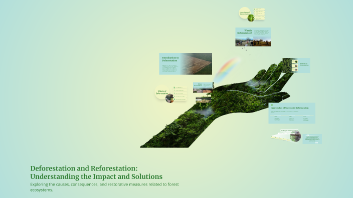Deforestation And Reforestation Understanding The Impact And Solutions