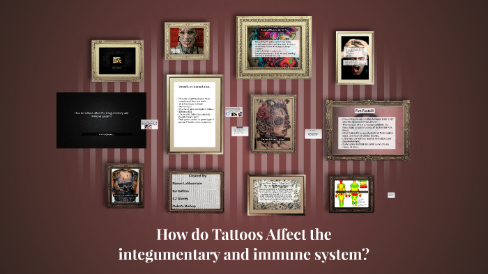 How do Tattoos Affect the integumentary and immune system? by raven ...