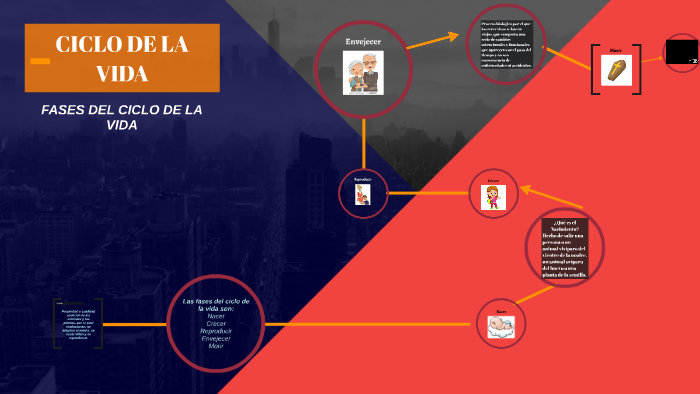 Ciclo de la vida by Cinthya Rodriguez on Prezi