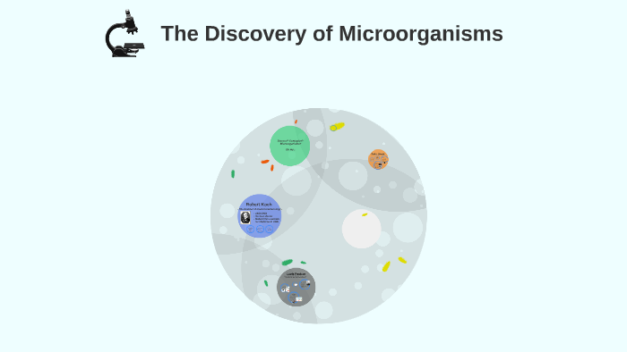 The Discovery of Microorganisms by on Prezi