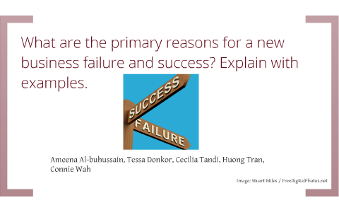 What are the primary reasons for a new business failure and success ...