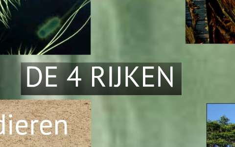 De 4 rijken by bas dorsman on Prezi