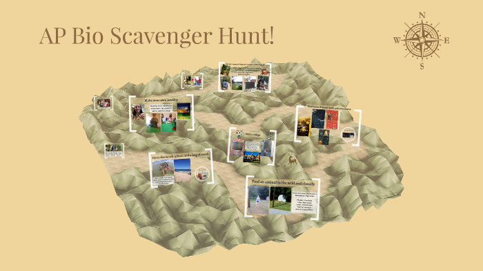 AP Bio Scavenger Hunt! by Haley Bean on Prezi