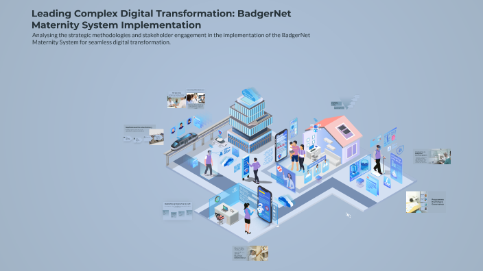 Leading Complex Digital Transformation: BadgerNet Maternity System ...