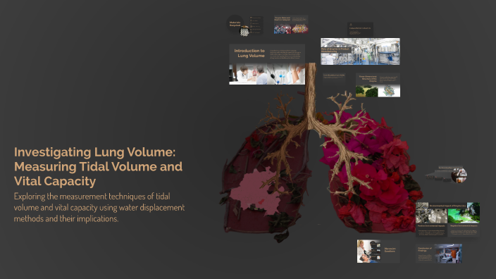 Investigating Lung Volume: Measuring Tidal Volume and Vital Capacity by ...