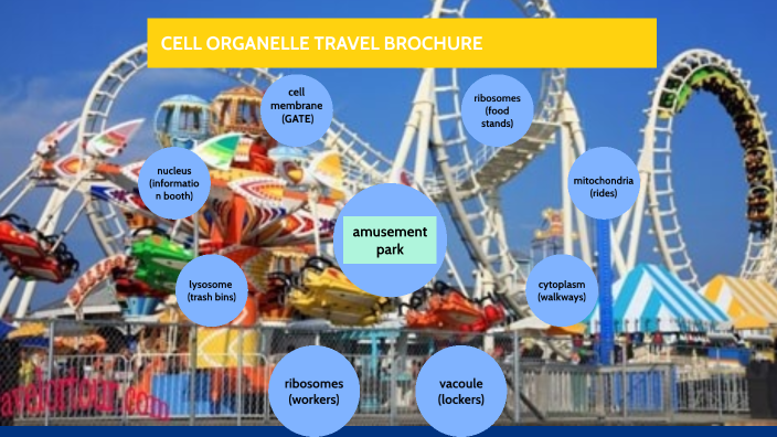 CELL ORGANELLE TRAVEL BROCHURE by Jershey Simbillo on Prezi