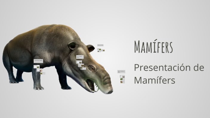 Mamífers by Jacob Grillo Martos on Prezi
