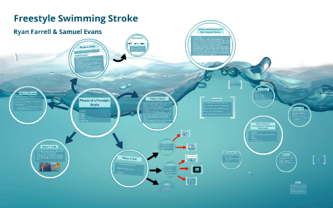 Freestyle Swimming Stroke by Ryan Farrell on Prezi