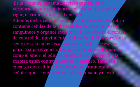 CEREBRO ABC by Brandon Stiven Martinez Bustos on Prezi