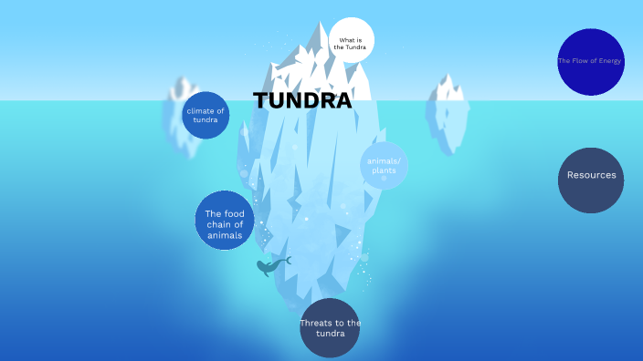 Treeless biome by Joe MAma on Prezi