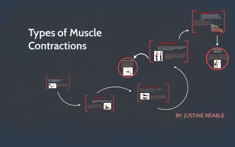 Types of Muscle Contractions by justine neable on Prezi