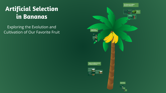 Artificial Selection in Bananas by Nick The Great on Prezi