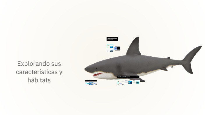 Clases de tiburones by Daniel Iglesias on Prezi