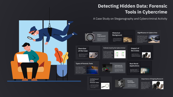 Detecting Hidden Data: Forensic Tools in Cybercrime by samantha sam on ...