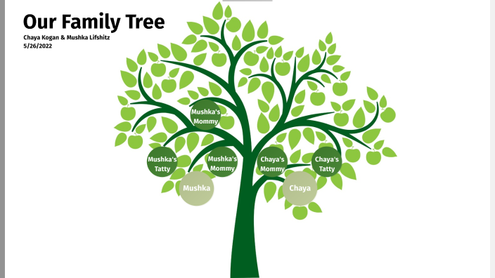 Family Tree by Mushka Lifshitz on Prezi