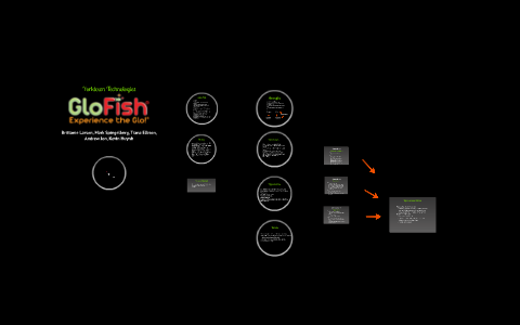 Yorktown Technologies by Brittanie Larson on Prezi