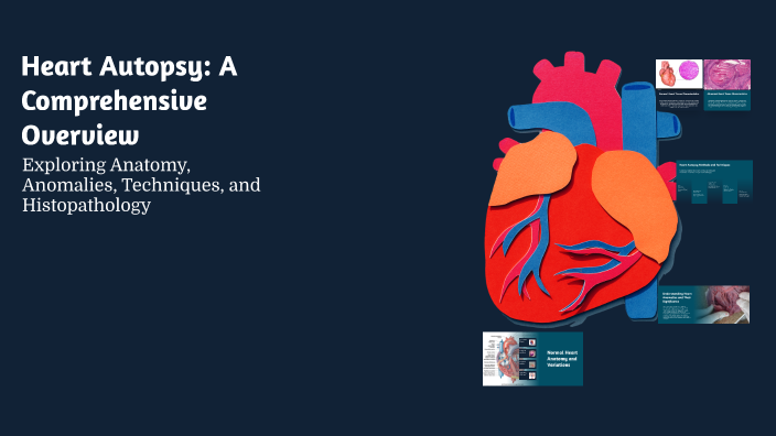 Heart Autopsy: A Comprehensive Overview by Asma Khalid on Prezi