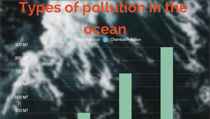 Ocean Pollution Chart by Taran Singh on Prezi Design